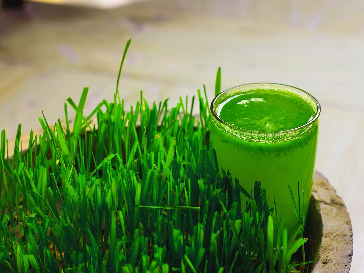 7 Health Benefits Of Wheatgrass Juice