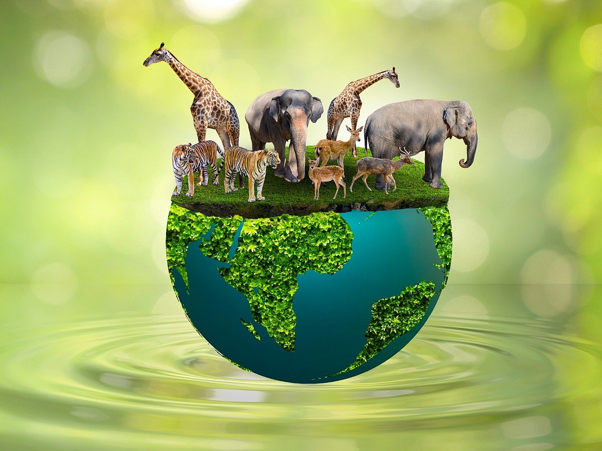 World Animal Welfare Day 2023: Theme, History & Quotes To Share