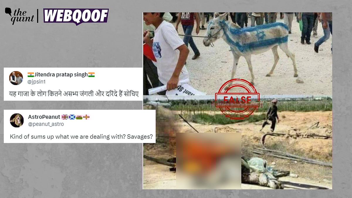 Fact-Check | These Images Do Not Show People in Gaza Burning a Donkey ...
