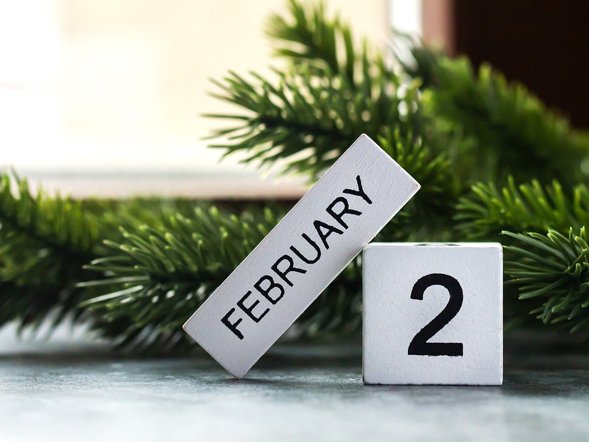 NSPCC Number Day 2024: Date, History, Significance & How To Participate