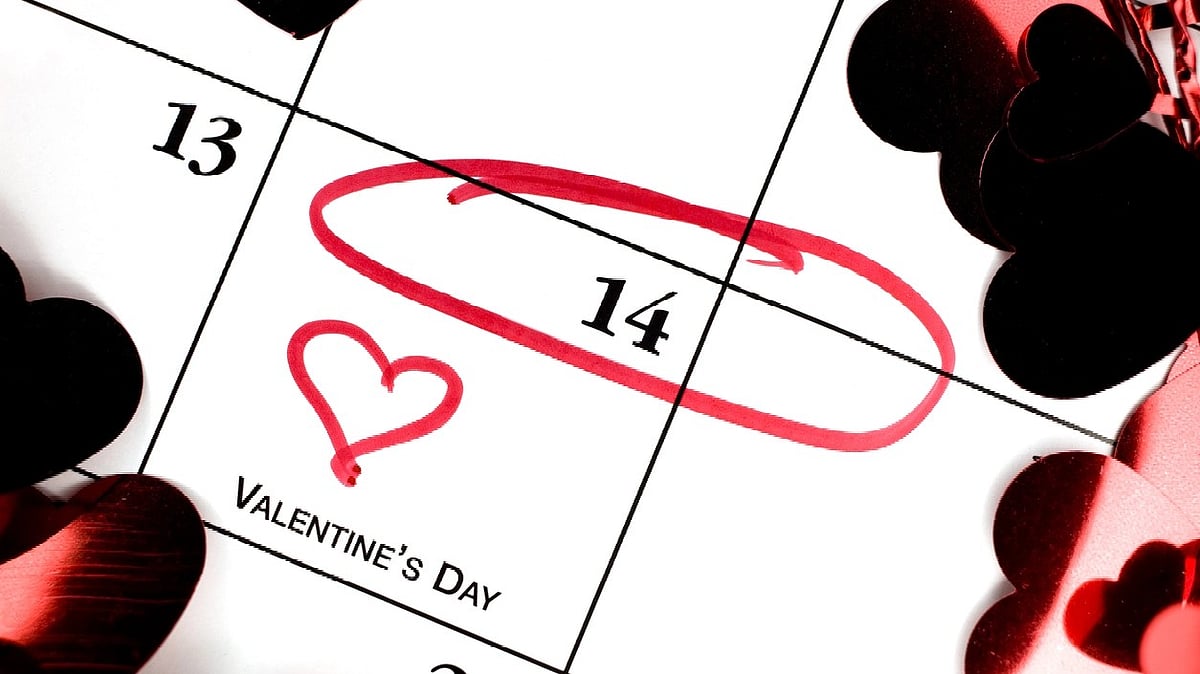 Valentine's Week 2024 List: Dates and Significance of Rose Day, Propose ...