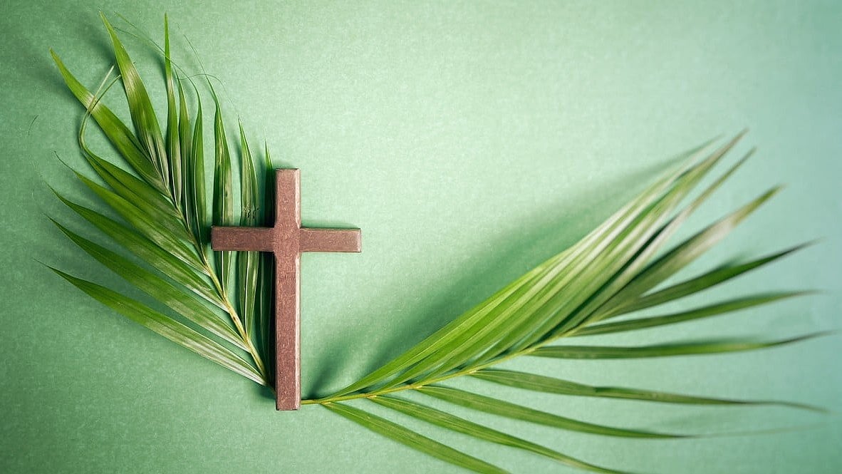 Black Saturday 2024 Date: History, Importance, Events, Activities, How ...