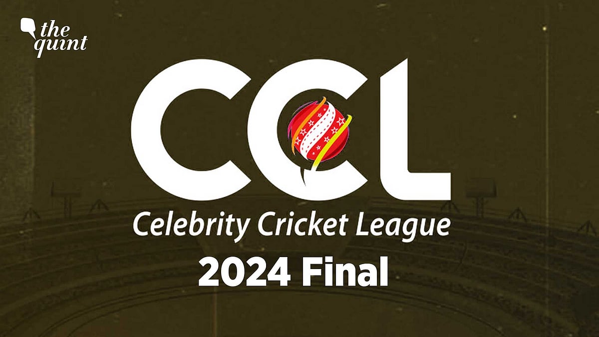 CCL 2024 Final Live: Karnataka Bulldozers vs Bengal Tigers; When and ...