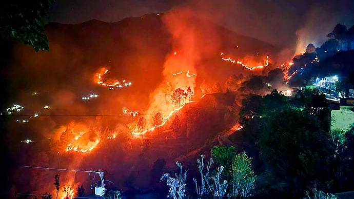 Uttarakhand Forest Fires Explained: Over 140 Hectares of Forest Land ...