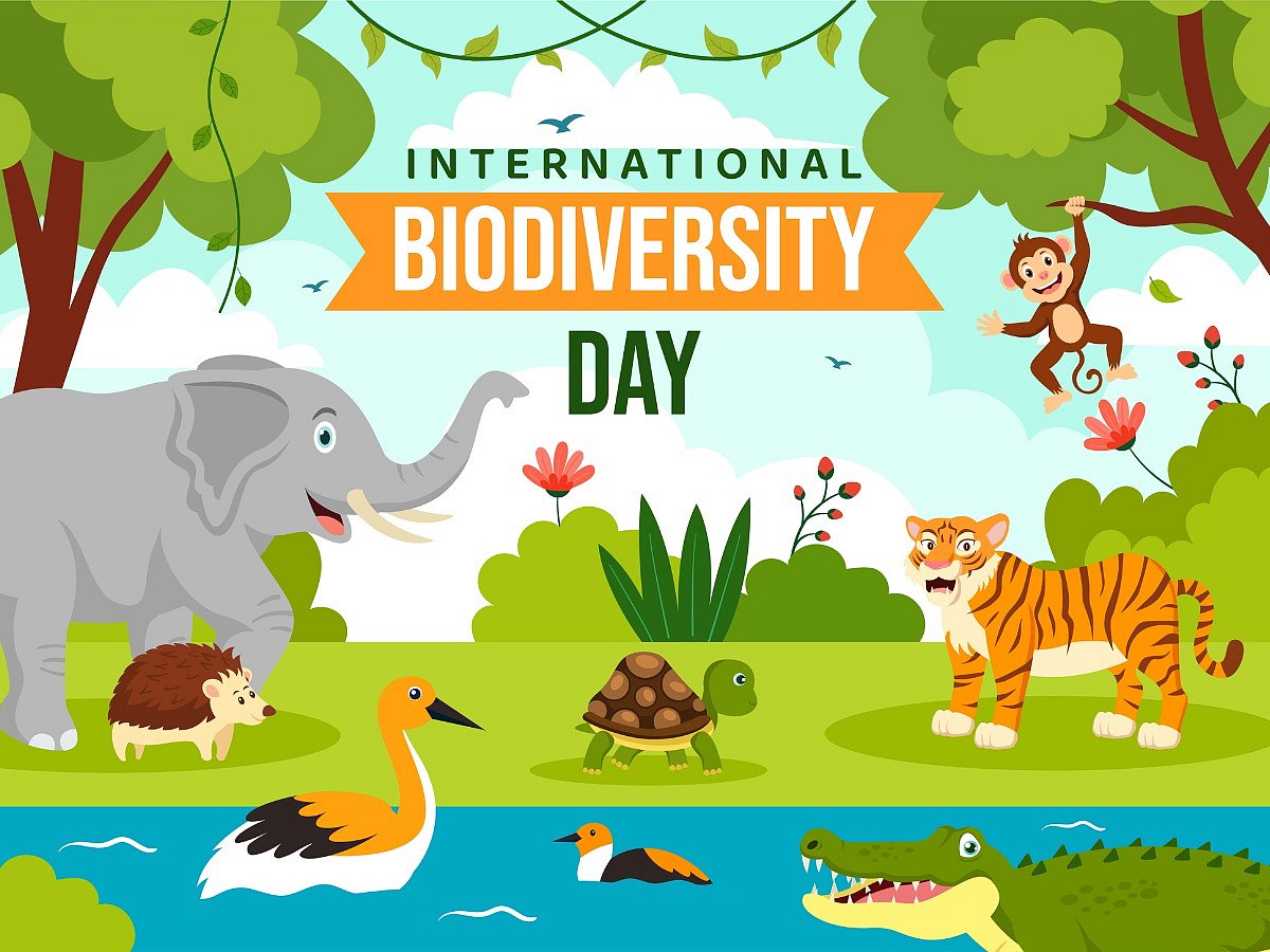 International Day For Biological Diversity 2024: Theme, History ...