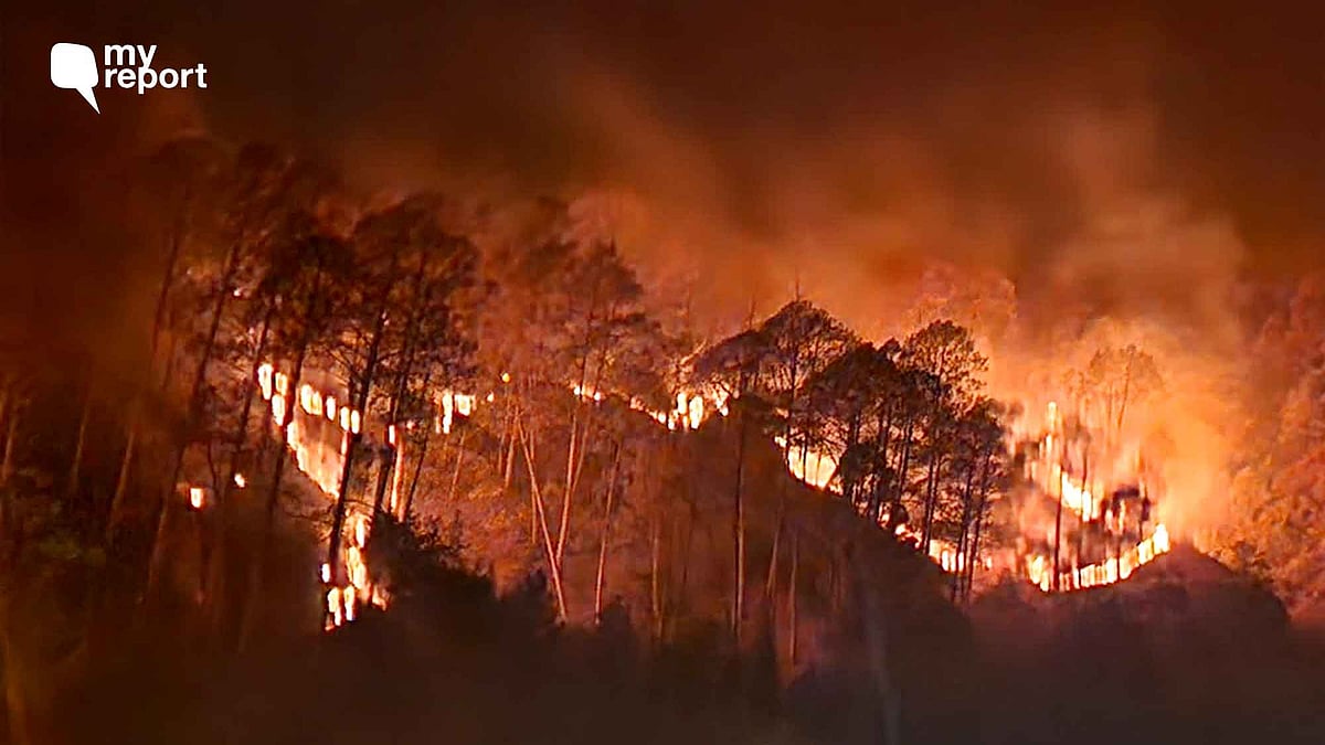 Uttarakhand Fire: Nainital Kumaon Battle Forest Fire