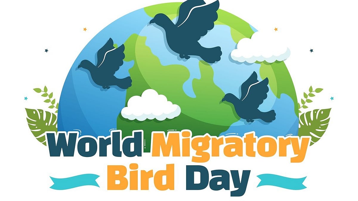 World Migratory Bird Day 2024 Theme: Date, History, Purpose ...