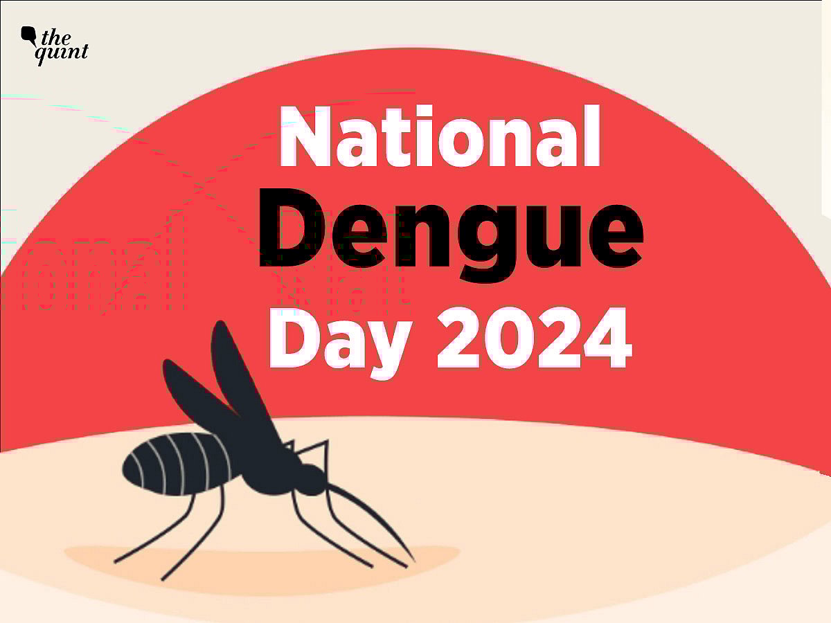 National Dengue Day 2024: Date, Theme, Posters, Significance & Activities