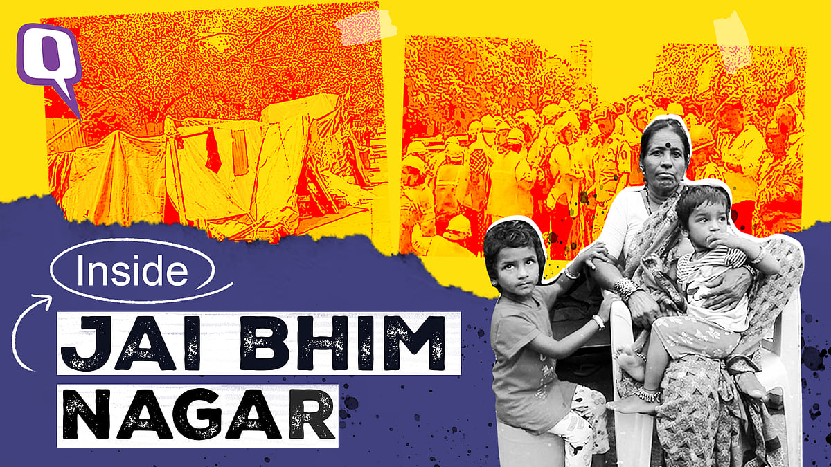 'Your Bulldozers Can't Break Our Spirit': In Mumbai's Jai Bhim Nagar ...