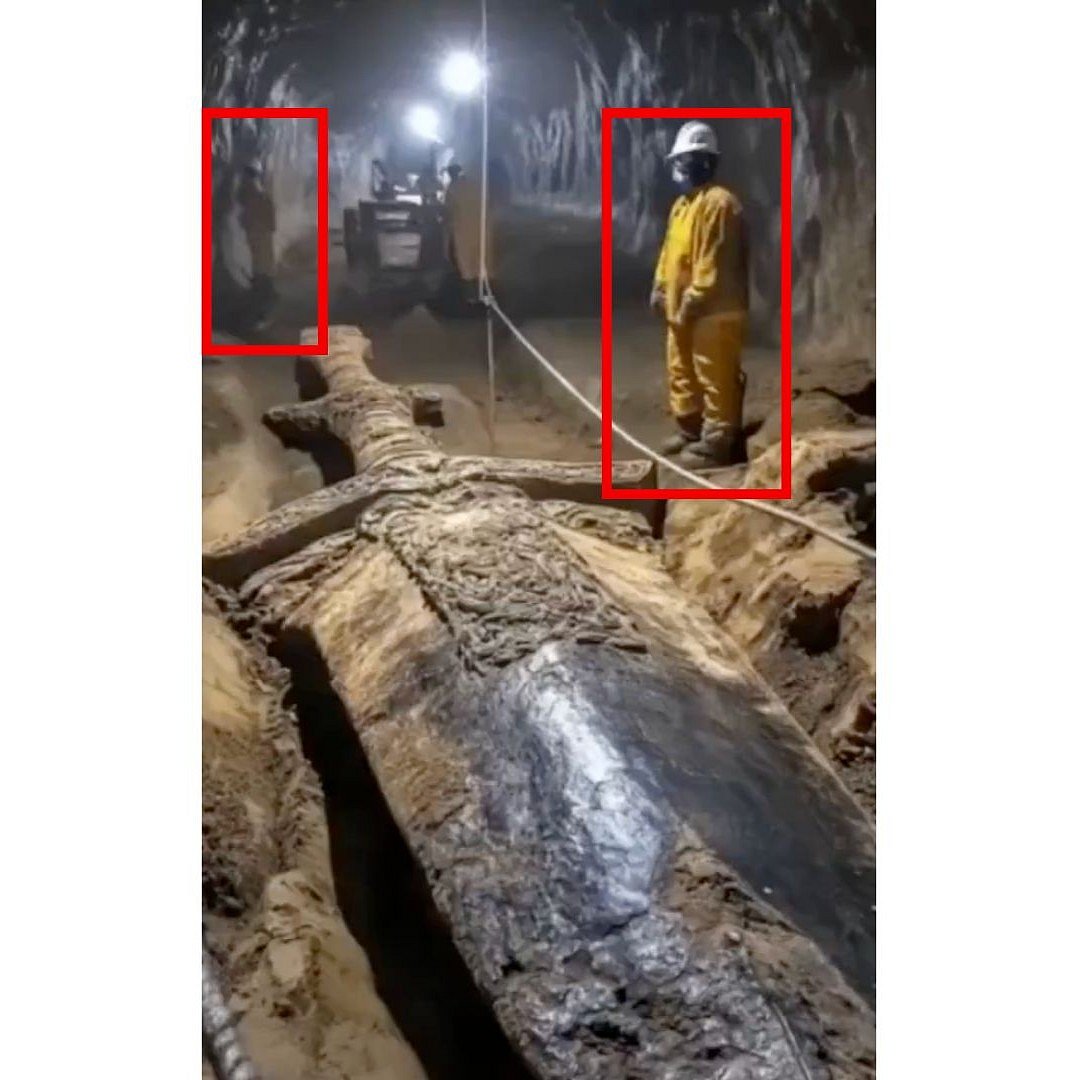 Fact-Check: Huge Sword Of Kumbhakarna in Ramayana Found? No, These ...