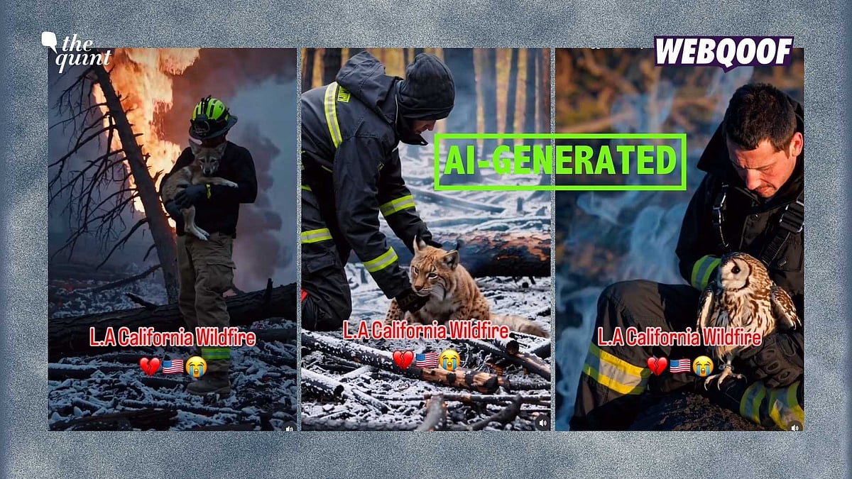 Fact-Check: AI-Generated Video Shared As Real Visuals of Firefighters Saving Animals From LA Fire