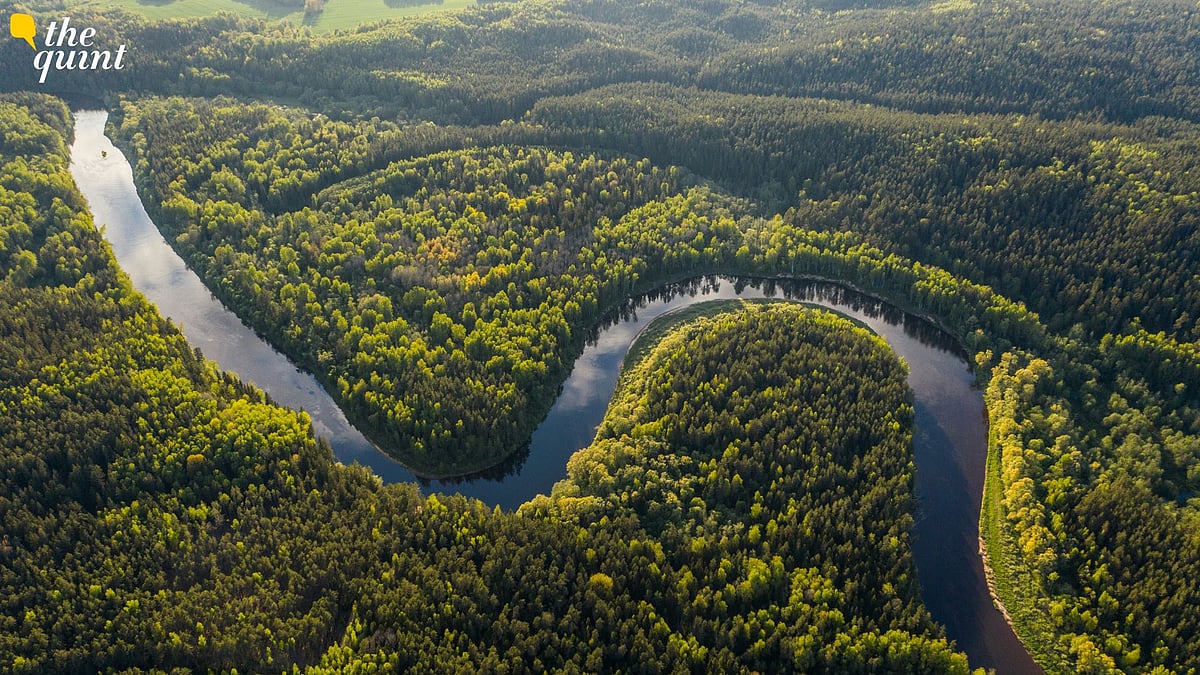 Ahead of COP30, Brazil Promises Amazon Protection, While Clearing Its ...