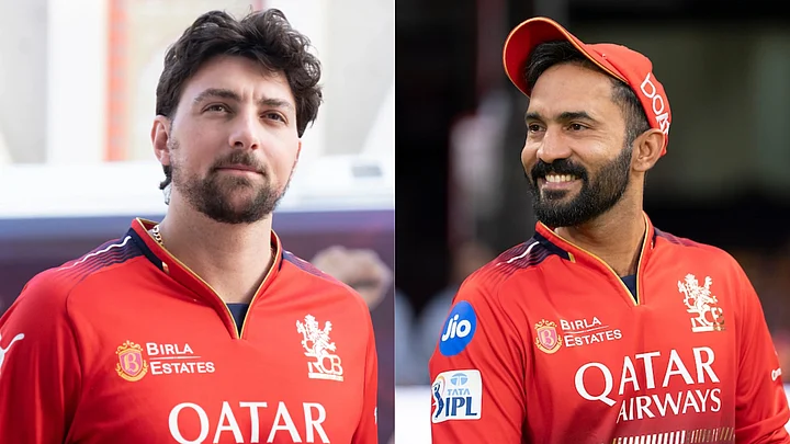 Dinesh Karthik Interview: Tim David Will Be One of the Best Batters in ...