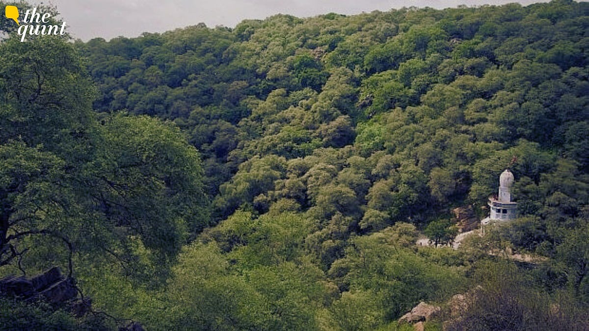 Supreme Court Takes Suo Motu Case On Aravalli Hills' Definition ...