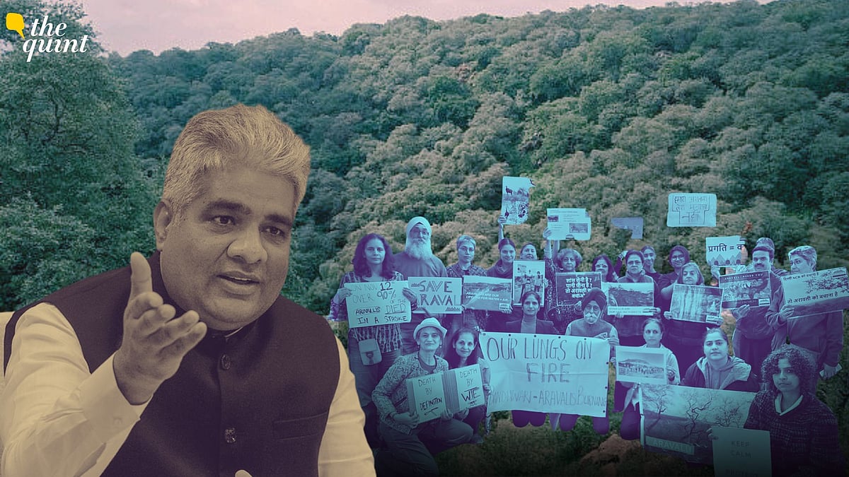 Is There Really a 'Ban on New Mining Leases' in Aravalli Hills? Experts ...