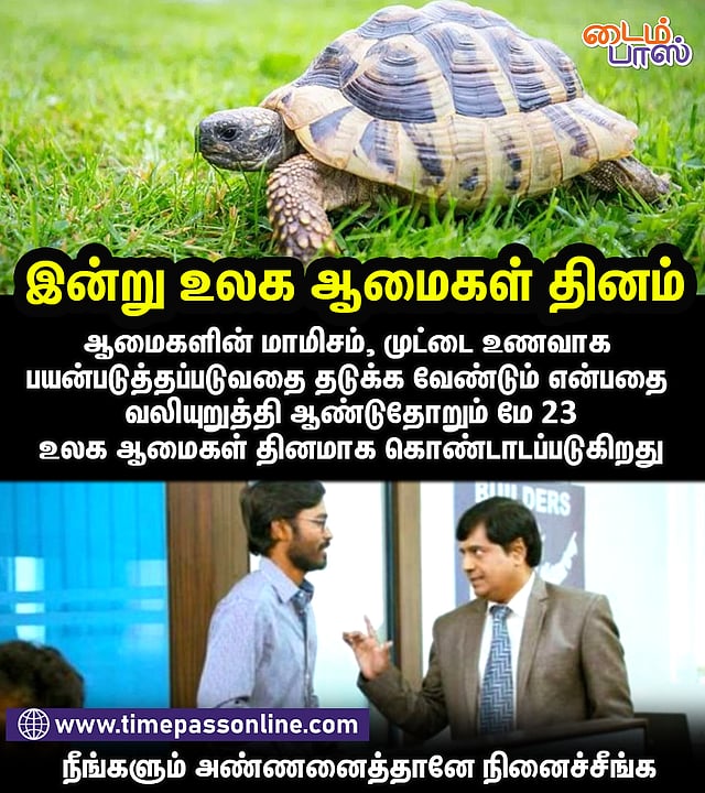 உலக ஆமைகள் தினம் : நீங்களும் அண்ணனைத்தானே நினைச்சீங்க? | Memes | may 23 ...