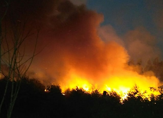 Two fires in 14 days at Nandi Hills: Is this an attempt to usurp land ...