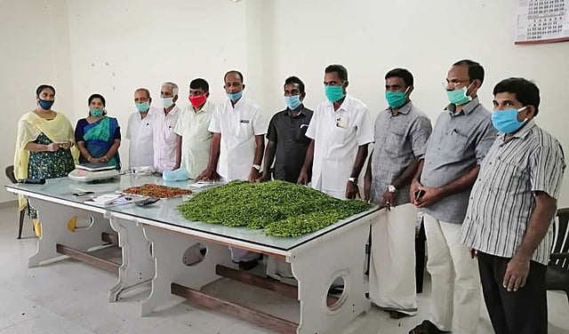 How this Kerala village found hope in Kanthari Mulaku farming