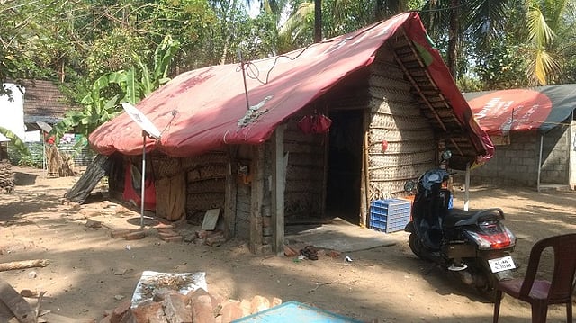Meet the Kerala couple who opened up their two-room hut to 14 stray dogs