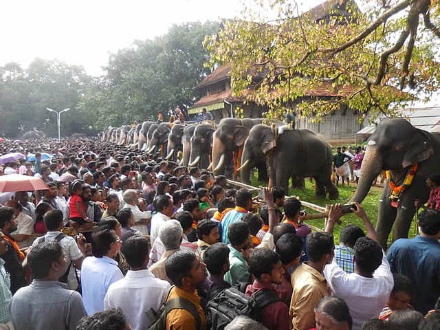 How elephants form an integral part of the cultural ethos in God’s own ...