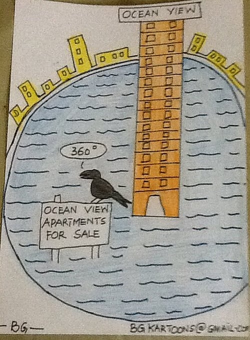 Bengaluru residents use cartoons, memes to make fun of poor infrastructure