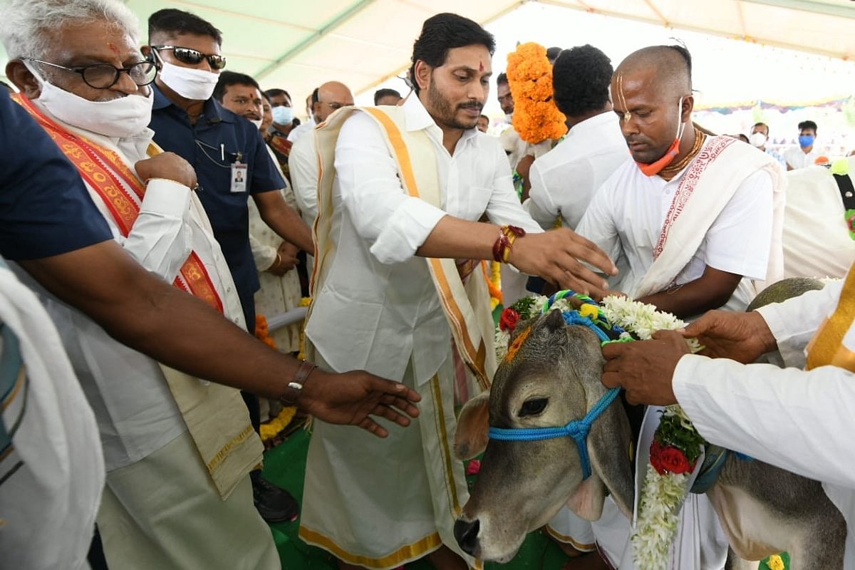 Andhra CM Jagan attends 'cow puja' event on Kanuma eve