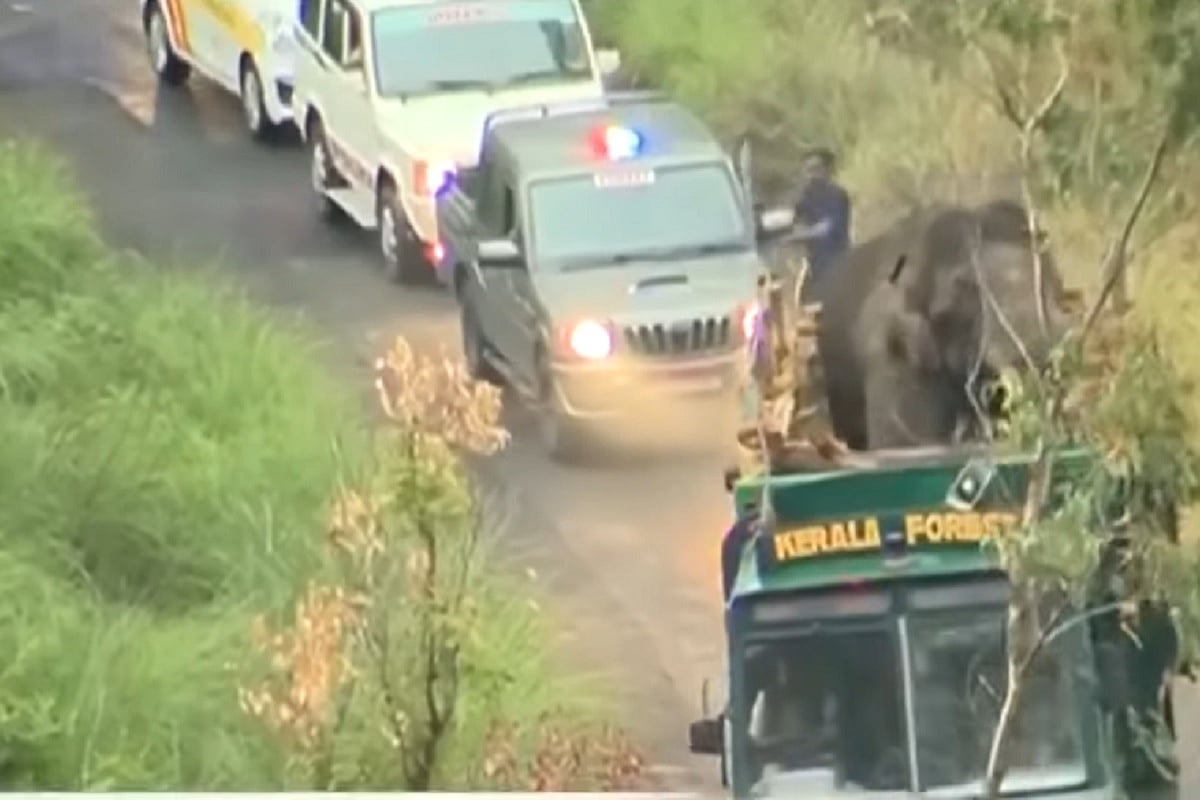 Arikomban translocated: Rogue tusker moved to Periyar Tiger Reserve ...