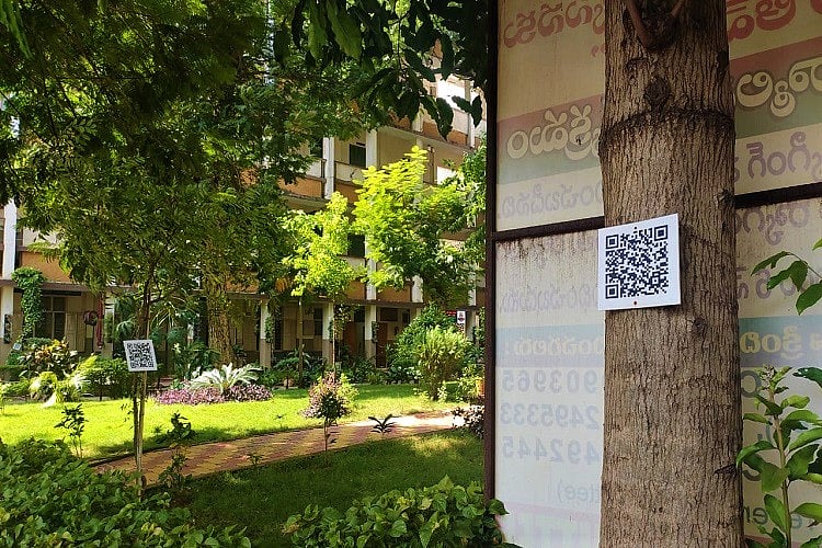 A Vijayawada college is using QR codes on local plant species to help ...