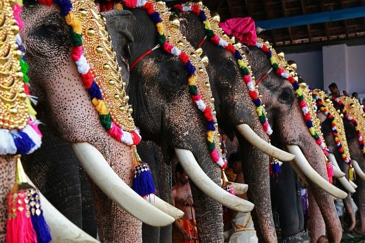 Kerala temple renounces use of elephants for rituals citing safety concerns