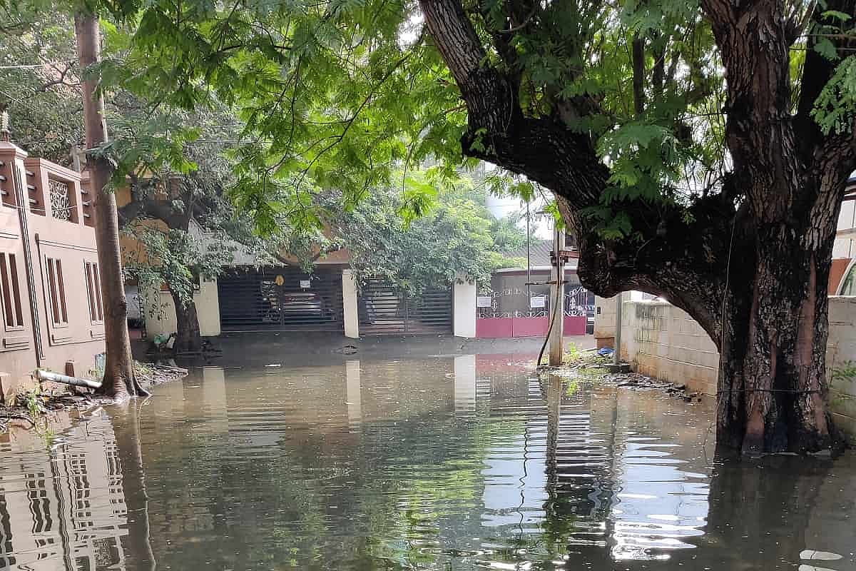 Chennai: Stagnating sewage in Mandaveli is a symptom of a bigger disease