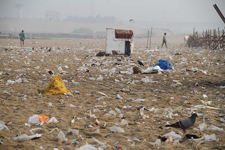 NGT asks for report on Pongal waste on Chennai beaches