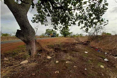 Over 100 banyan trees partially burnt on Hyderabad-Chevella highway ...