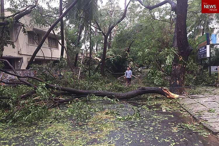 Cyclone Vardah possibly the most powerful to hit Chennai yet