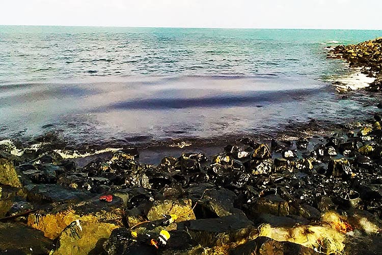 Exclusive: How Chennai's Ennore Port failed to act immediately after ...