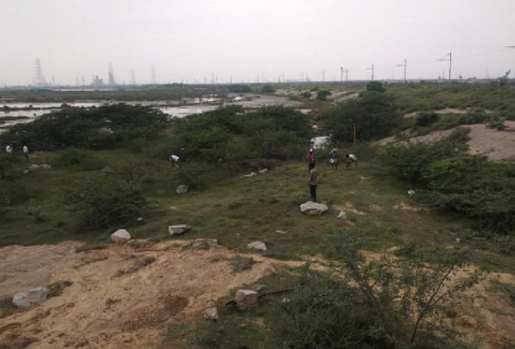 TN's Kamarajar port polluted Ennore region, to pay fine and plant trees