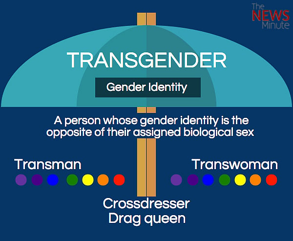 Understanding LGBTQ+: An exhaustive explainer on gender and sexual ...