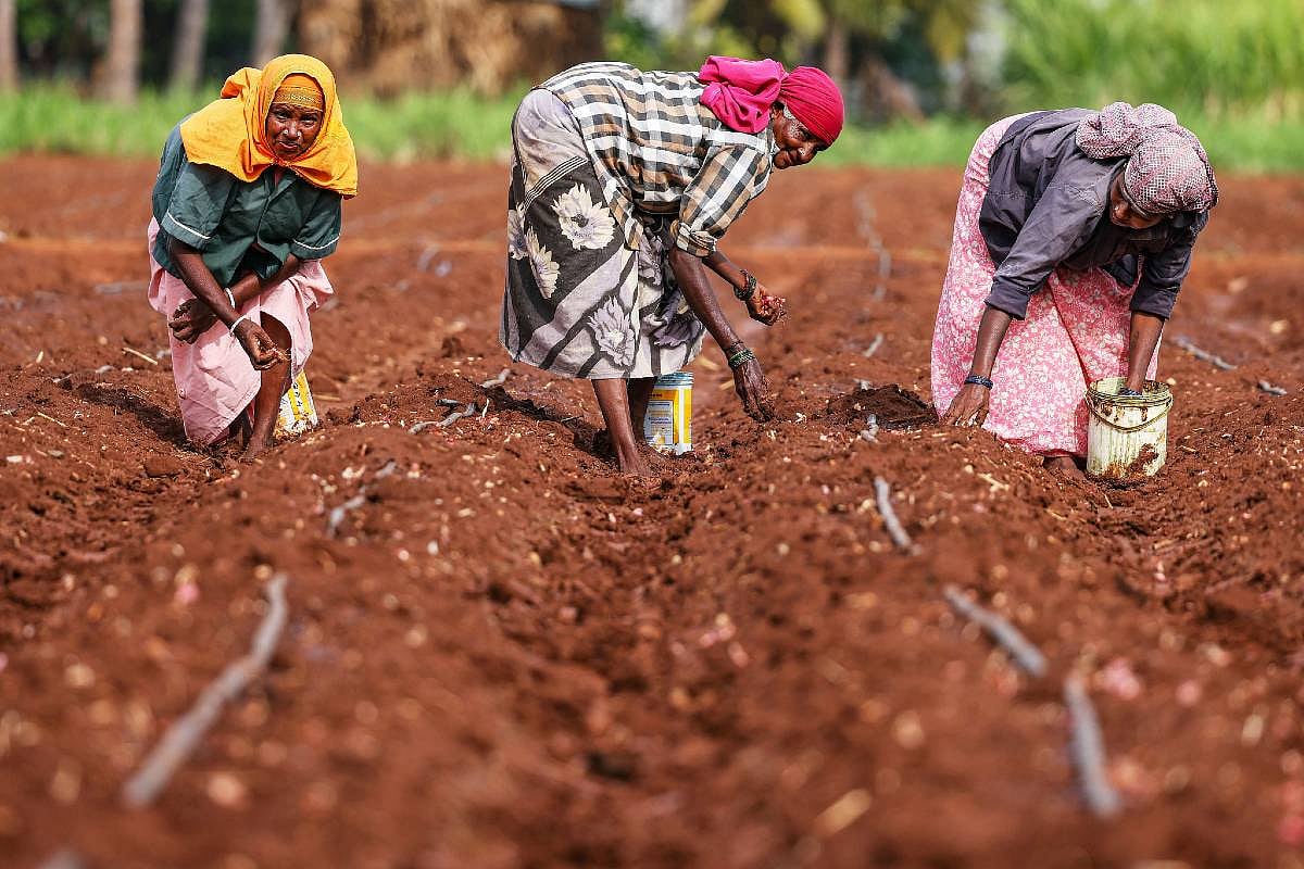 Tribal farmers restart agitation over Podu land titles in Telangana