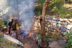 How foresters are protecting wildlife and forests during lockdown