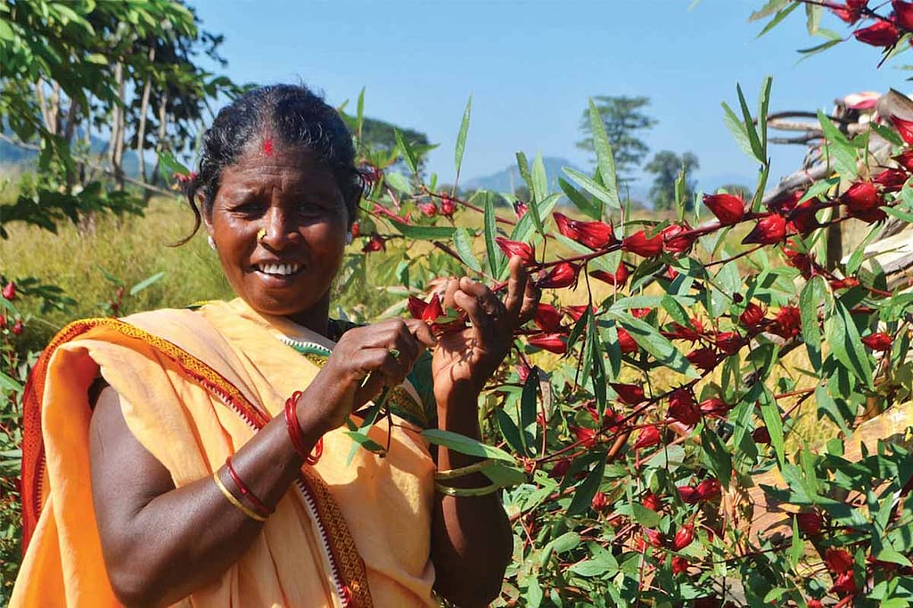 A calendar to bring forgotten ingredients back to your plate