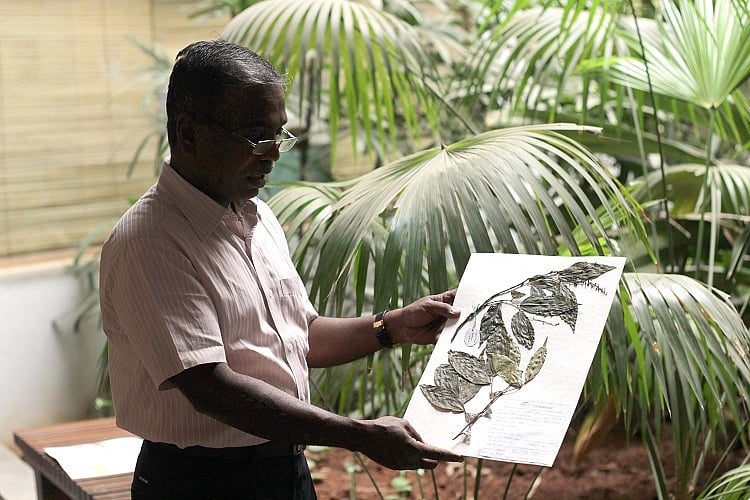 The man who listens to trees: Meet the botanist who helped Karnataka's ...