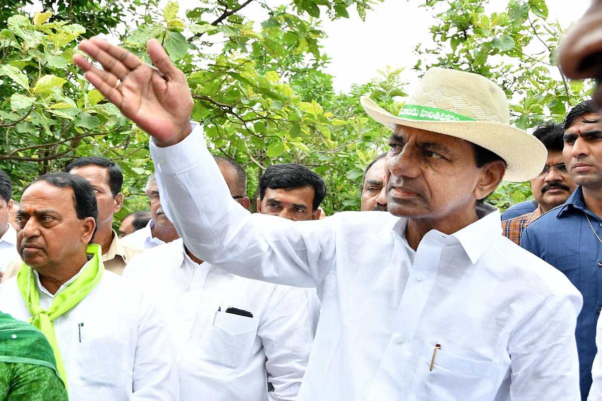 Haritha Haram: 266 cr saplings planted in 8 yrs in Telangana, how many ...