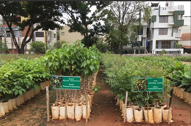 K’taka Forest Dept to launch app to tackle crisis of dwindling tree ...