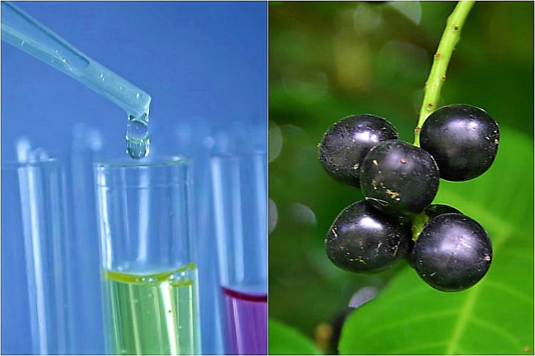 IIT Hyderabad researchers remove Fluoride from drinking water using ...