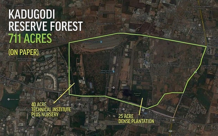 In the name of development: The tale of Kadugodi’s depleting green ...