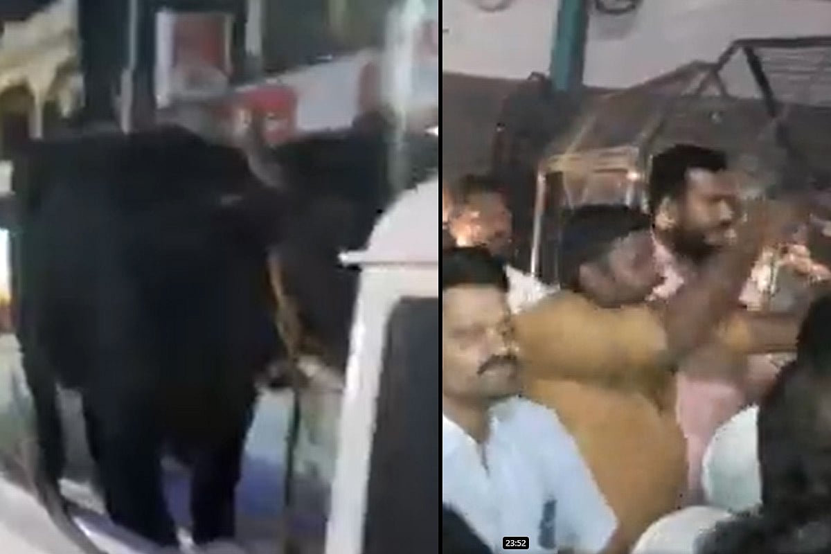 Kerala Youth Congress marches to MLA Ganesh Kumar’s office with a bull ...