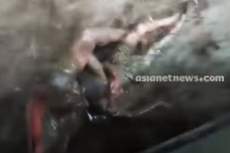 Kerala RTC bus conductor rescues tourists clinging on to tyres amid ...