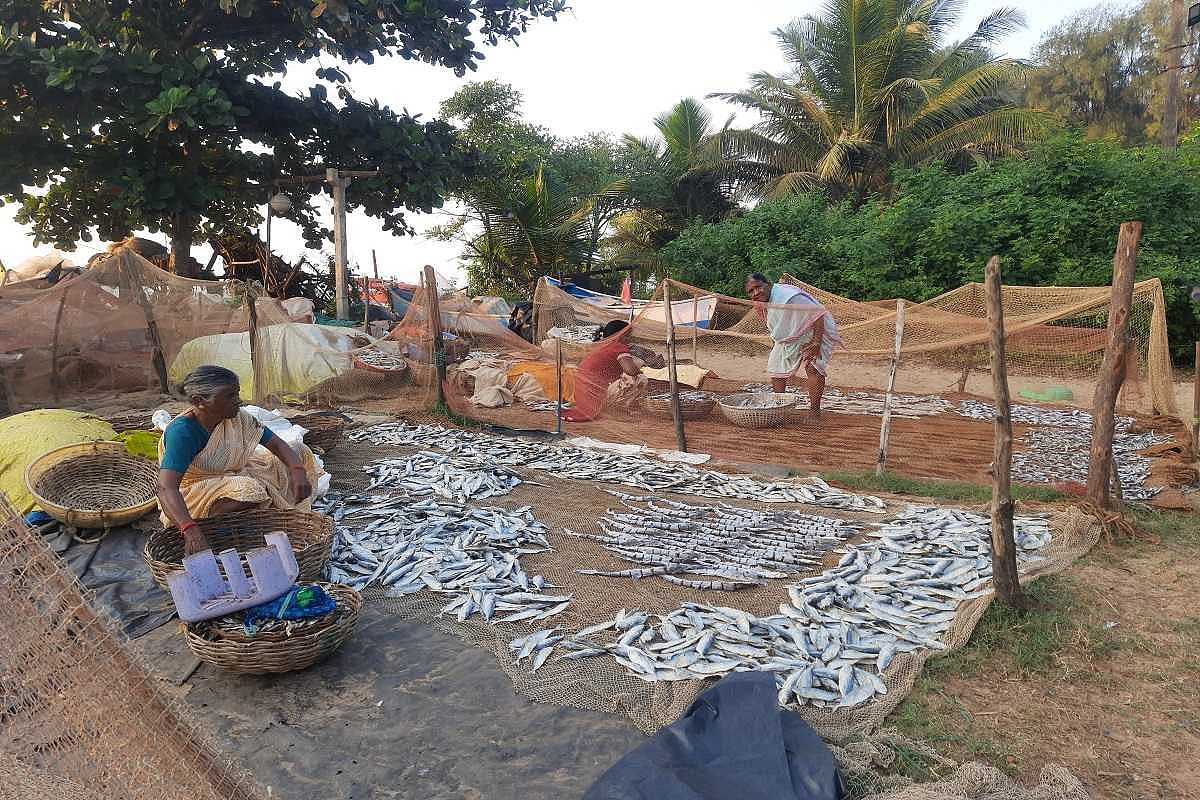 Tragedy of the commons: In Karnataka, small-scale fishers are losing ...