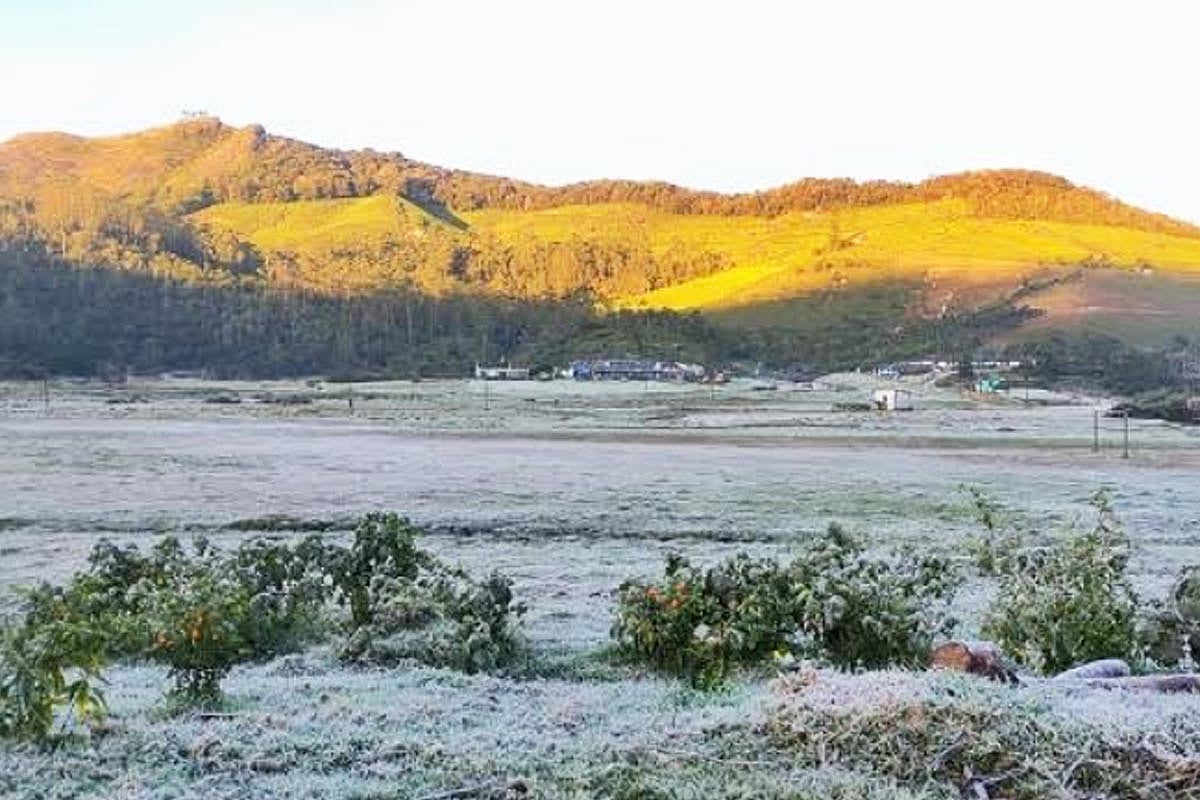 Chilly weather back in Munnar as temperature dips below zero