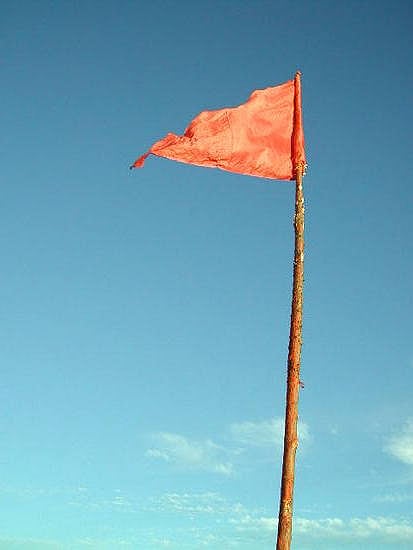 Thousands of RSS workers arrested across Tamil Nadu despite Madras HC ...