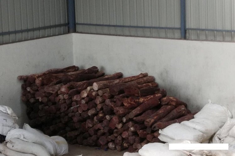The great forest robbery: How Andhra’s rare red sanders are smuggled ...